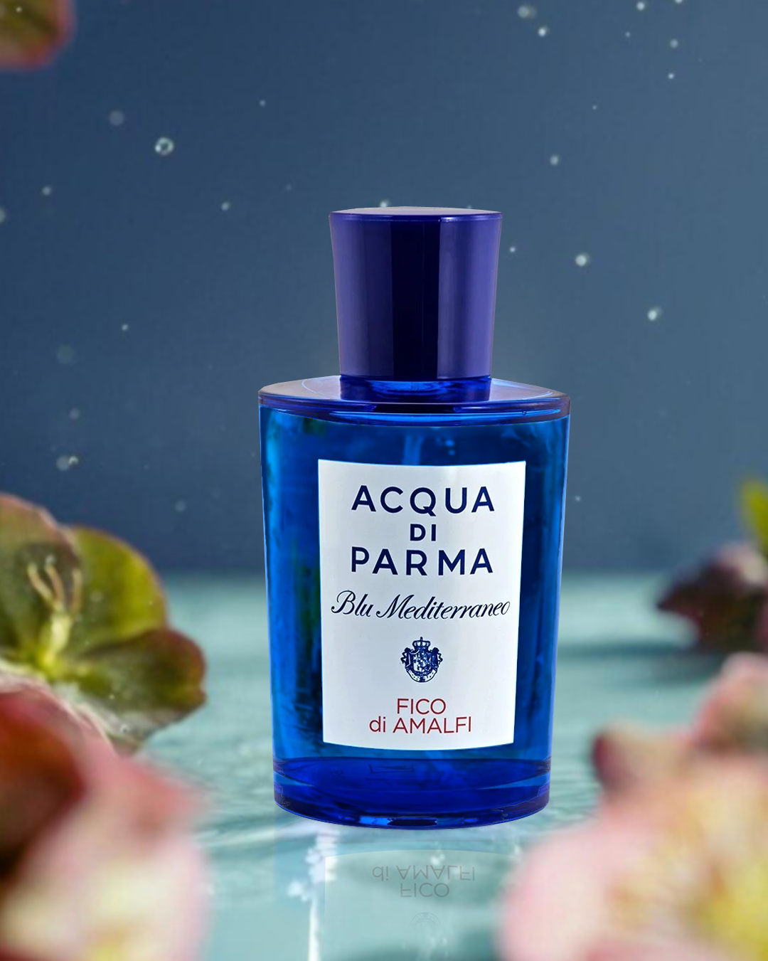 DecantX Perfume and Cologne Decant Fragrance Samples for Men And Women ...